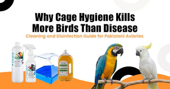 Why Cage Hygiene Kills More Birds Than Disease — Cleaning and Disinfec ...