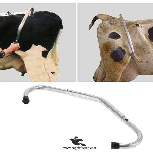 Anti Kick Bar – Heavy-Duty Cattle Restraint Bar for Safe Milking & Vet ...