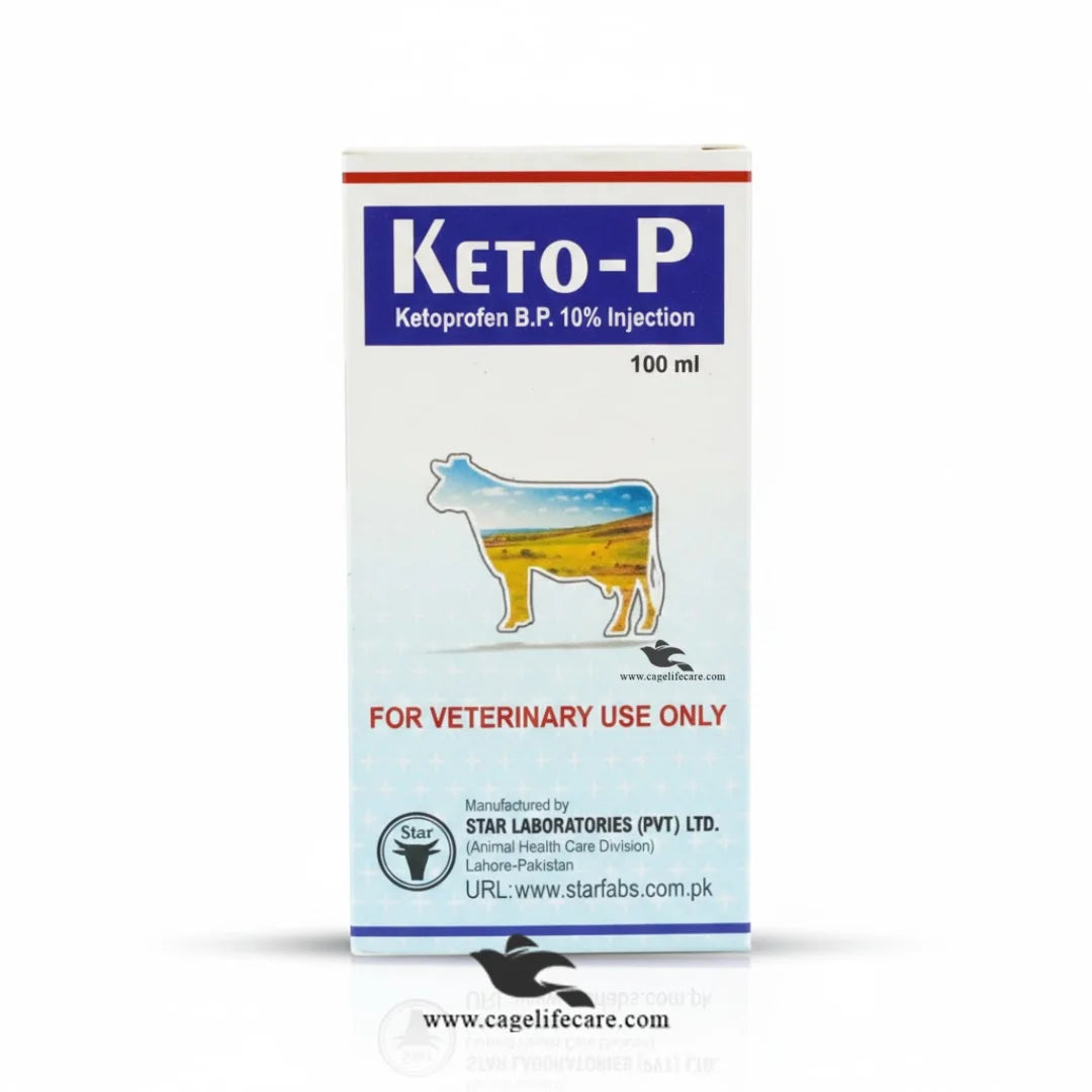 Keto-P Injection – Ketoprofen 100mg Pain & Anti-Inflammatory Injection ...