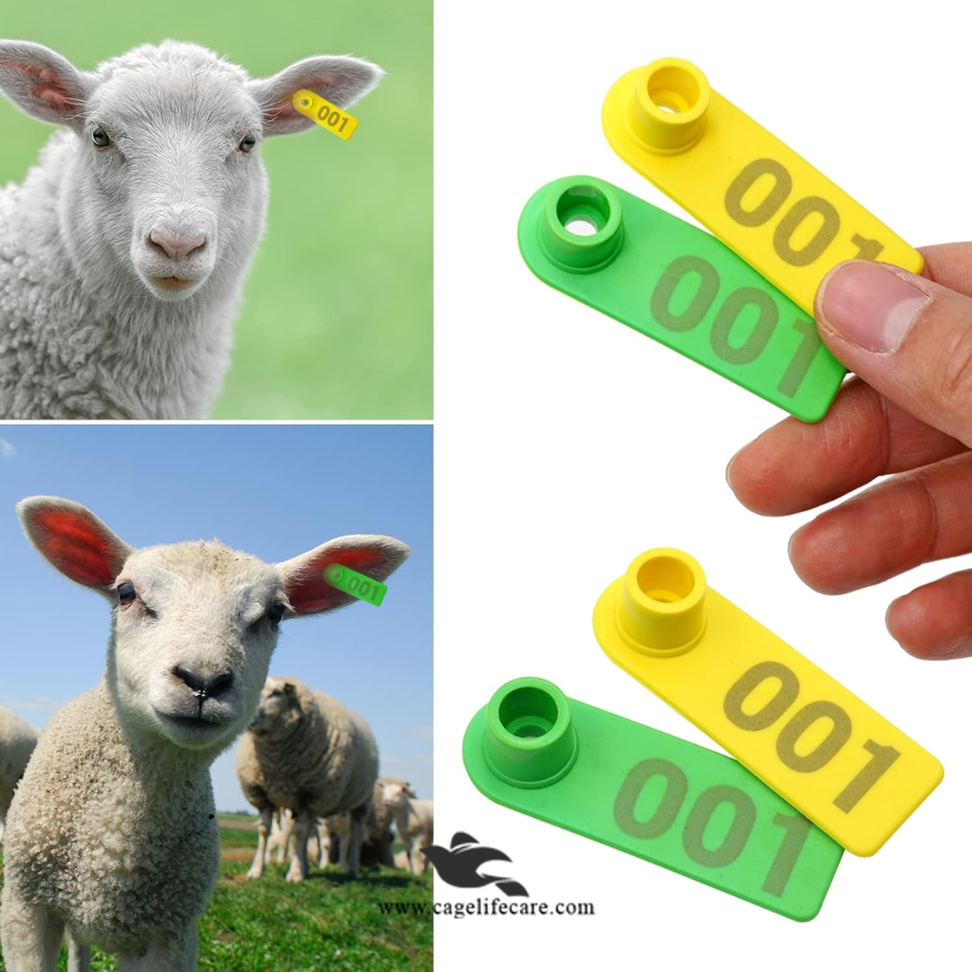 Numbering Plastic Ear Tags – Identification for Goats, Sheep, Cattle ...